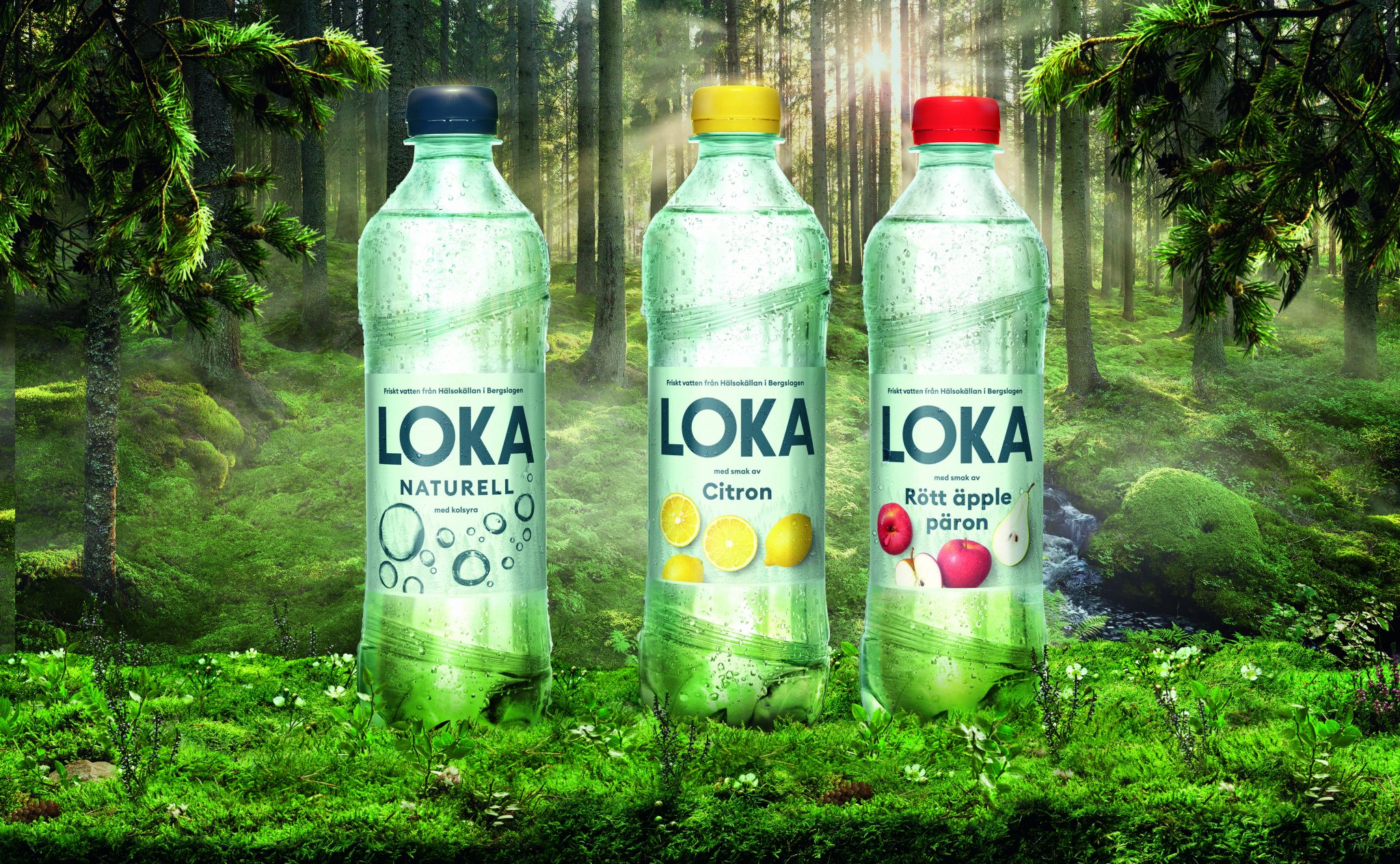 Loka - Spendrups International